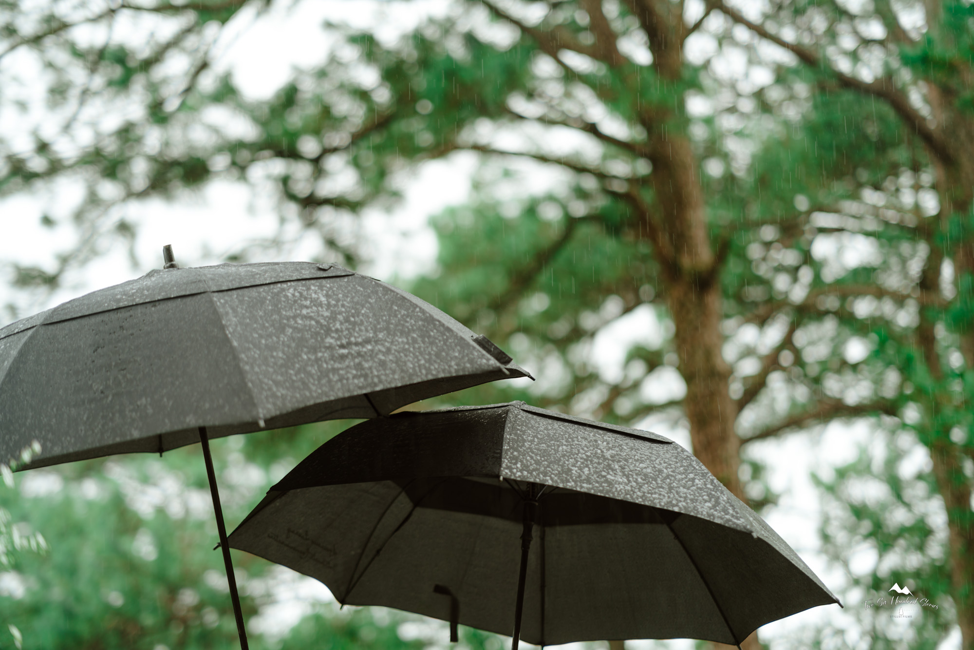 5 Fun and Creative Indoor Activities for Rainy Days in Baguio | El Retiro