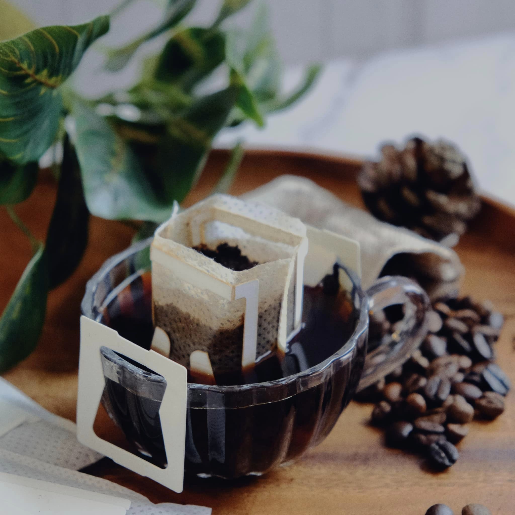 Must-Try Cafes and Local Roasters in Baguio | El Retiro